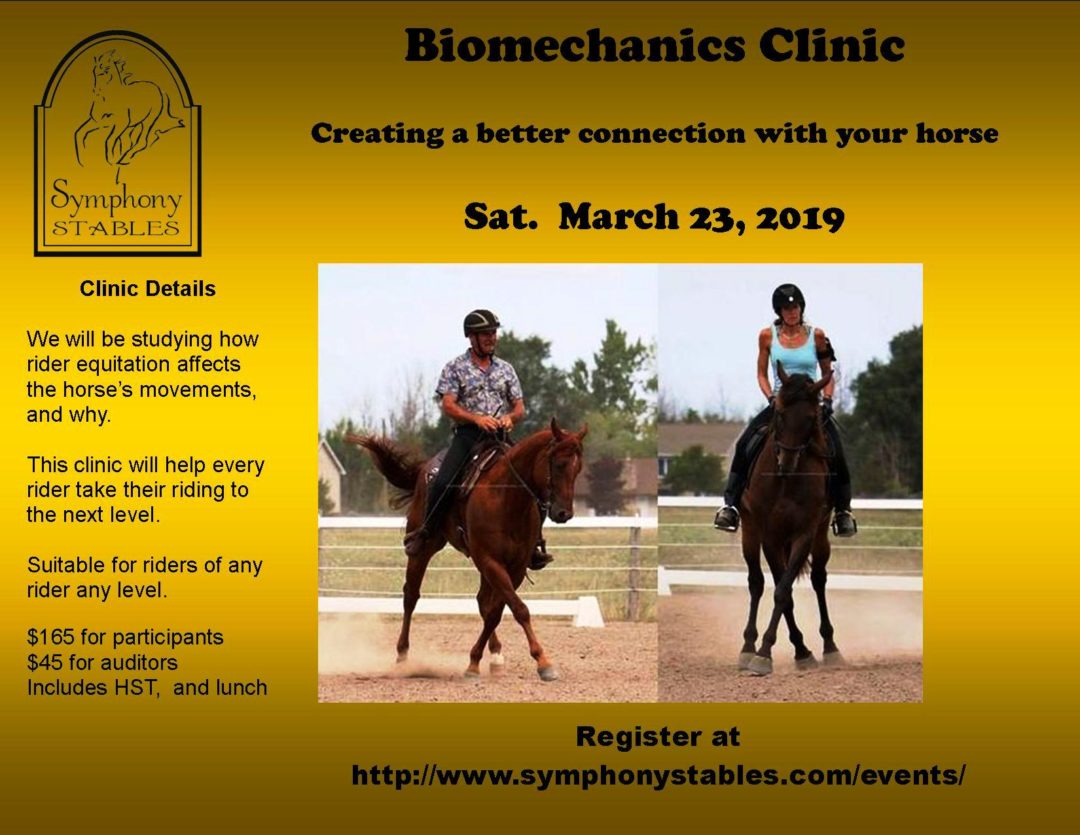 Horse Training Clinic